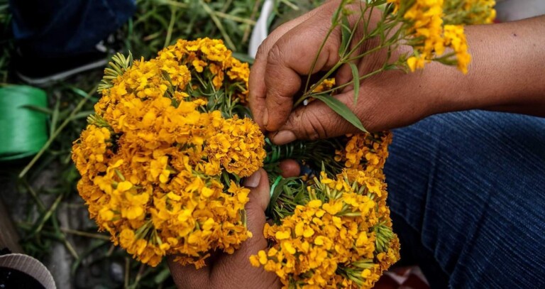 Cruz de pericón: la forma y aroma que nos protege