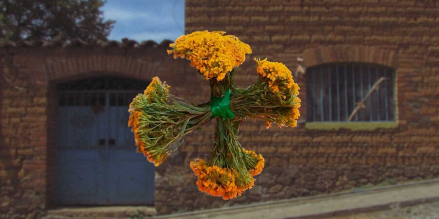 Cruz de pericón: la forma y aroma que nos protege - La Tepozteca