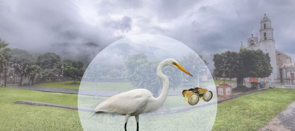 Cruz de pericón: la forma y aroma que nos protege - La Tepozteca