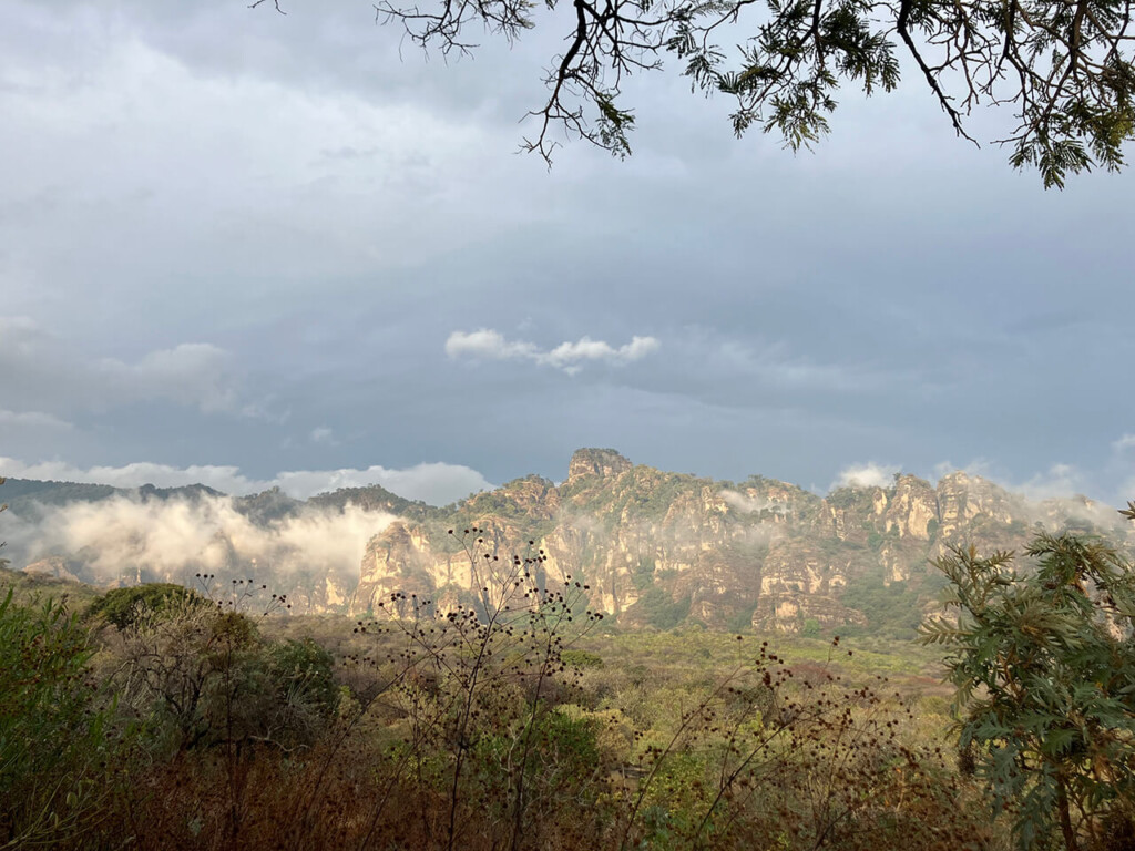 Cruz de pericón: la forma y aroma que nos protege